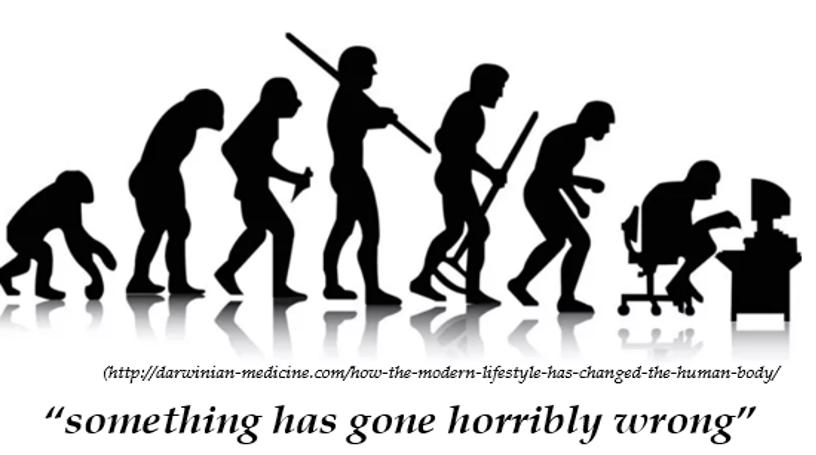 Pre-Agricultural Nutrition – BionicOldGuy