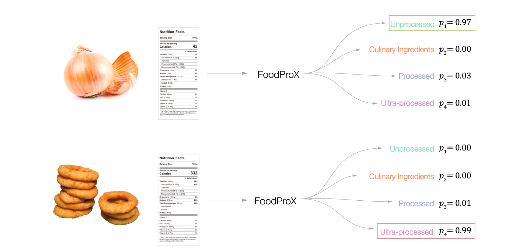 Detecting Processed Foods With AI – BionicOldGuy